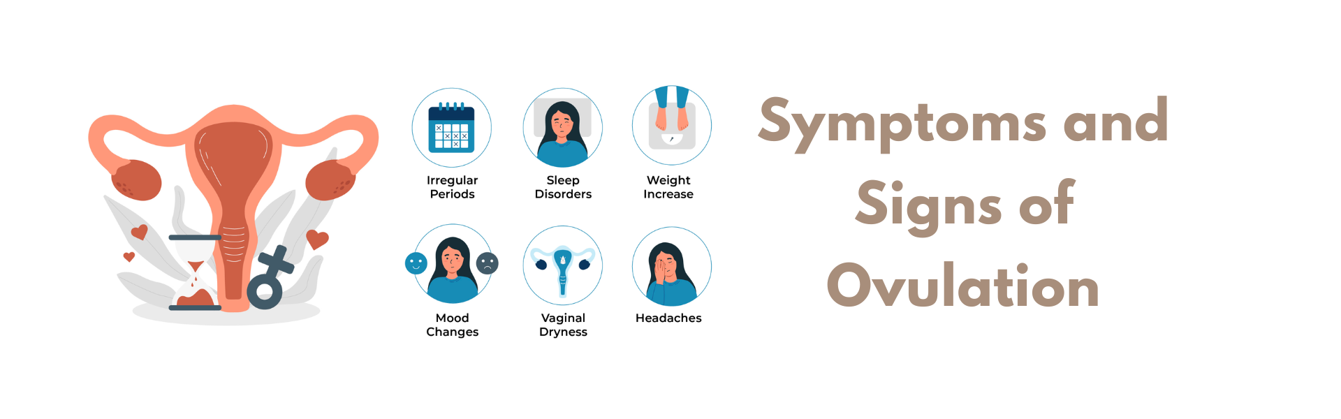 10 Ovulation Signs to Watch For | Medcy IVF Guide